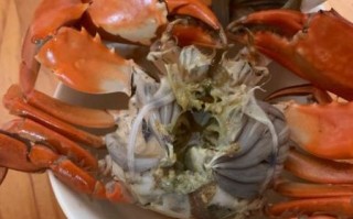 螃蟹买回来一晚上全死了_还能吃吗