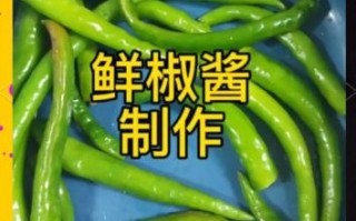 鲜辣椒酱怎么做_鲜辣椒酱的做法视频