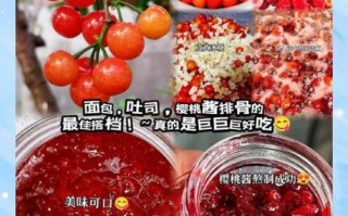 樱桃酱怎么做_樱桃酱保存多久 樱桃酱怎么做_樱桃酱保存多久