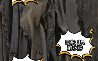 昆布的功效与作用有哪些_昆布能治什么病