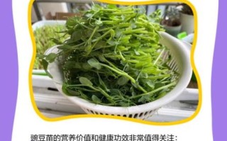 豌豆苗什么人不能吃_禁忌人群全解析