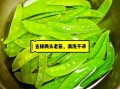 清炒荷兰豆怎么做好吃窍门_荷兰豆焯水几分钟