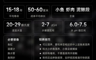 魟鱼怎么养_魟鱼吃什么最好