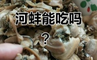 河蚌寄生虫图片_河蚌寄生虫对人体有害吗
