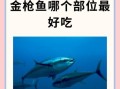 金枪鱼生吃安全吗_金枪鱼哪个部位最好吃
