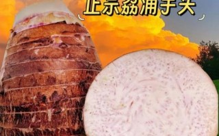 荔浦芋头产地哪里最好_正宗荔浦芋头核心产区在哪