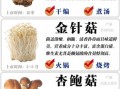 能吃的蘑菇有哪些_常见可食用蘑菇图片与名称对照