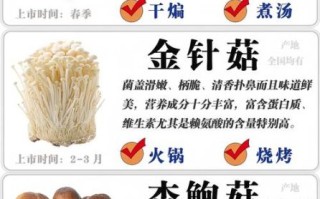 能吃的蘑菇有哪些_常见可食用蘑菇图片与名称对照