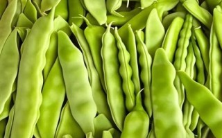 油豆角的功效与作用_油豆角怎么吃好