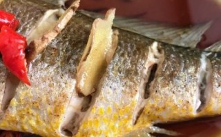 黄鱼怎么做好吃_家常黄鱼做法