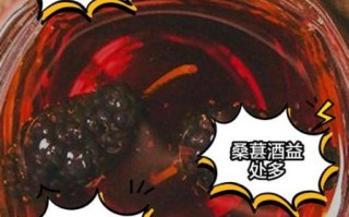白酒泡桑葚酒的做法_桑葚酒泡多久可以喝