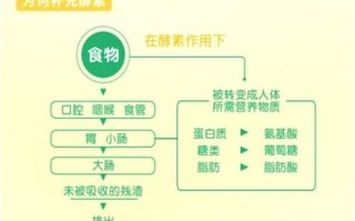 喝酵素的好处与功效_酵素什么时候喝最好