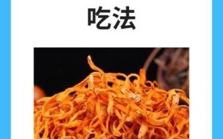 虫草花功效与作用禁忌_哪些人不能吃