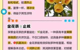 金花茶叶的功效与作用_金花茶叶怎么喝才养生