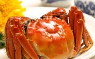 高邮大闸蟹什么时候上市_正宗高邮湖蟹几月开捕