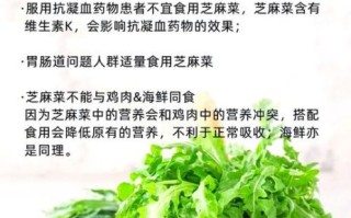 芝麻菜什么时候种_芝麻菜种植月份