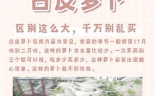 青萝卜和白萝卜哪个好_青萝卜和白萝卜的区别