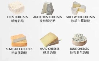 十大经典奶酪有哪些_如何挑选与保存