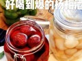 杨梅酒怎么发酵_杨梅酒酿制方法步骤