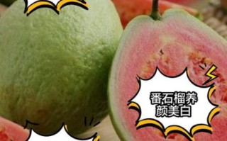 番石榴的功效与副作用_孕妇能吃吗