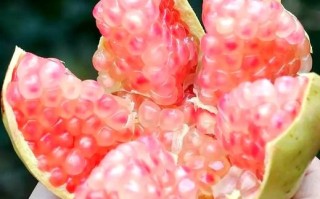 石榴的正确吃法_石榴怎么吃才最甜