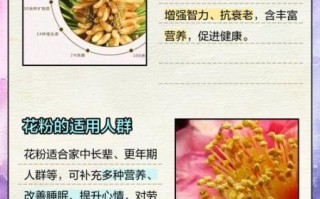 花粉的功效与作用有哪些_花粉主治什么病