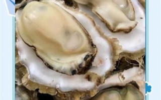 生蚝怎么清洗_清蒸生蚝蒸多久