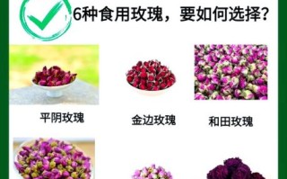 食用玫瑰花的功效与作用_怎么吃效果最好