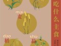 稻黍稷麦菽分别是什么_五谷具体指哪些粮食