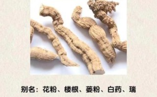 天花粉的副作用有哪些_如何避免天花粉的不良反应