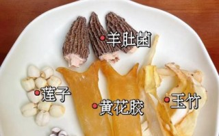 鱼胶怎么炖最有营养_鱼胶的正确吃法