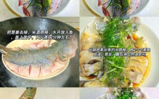 冰冻海鲈鱼清蒸好吃吗_如何蒸才不腥