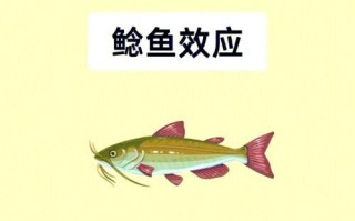 鲶鱼效应说明了什么_如何激发团队活力