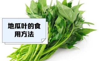 红薯叶怎么保存_红薯叶怎么处理