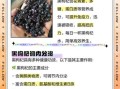 黑枸杞多少钱一斤_黑枸杞价格正常吗