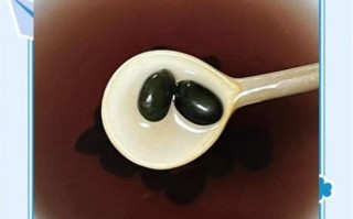 黑芸豆可以打豆浆吗_黑芸豆豆浆怎么做