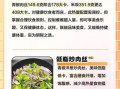 青椒炒肉丝热量高吗_青椒炒肉丝有哪些营养