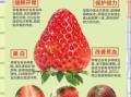 草莓的功效与作用有哪些_草莓吃多了有什么副作用
