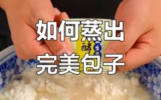 怎么蒸包子_蒸包子用冷水还是热水