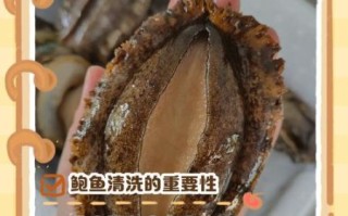 鲍鱼怎么清洗_鲍鱼怎么做好吃