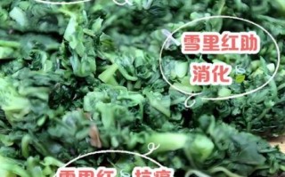 吃雪里红有什么好处_吃雪里红有什么坏处