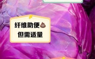 紫甘蓝中毒症状_吃了紫甘蓝多久会出现不适