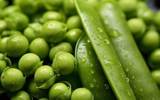豌豆荚电脑版怎么下载_豌豆荚电脑版安全吗