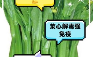 孕妇能吃菜心吗_孕期吃菜心的好处与禁忌