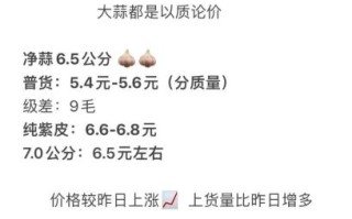邳州大蒜今日价格多少钱一斤_邳州大蒜价格走势预测