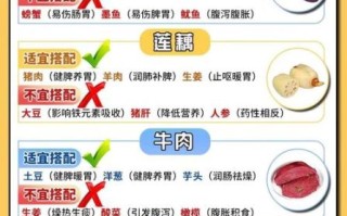 食物相宜相克2000例_哪些搭配最健康