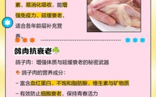 吃鸽子的功效与禁忌_哪些人不能吃