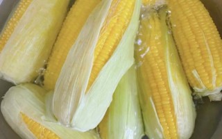 糯玉米怎么煮才够糯_糯玉米煮多久才软糯