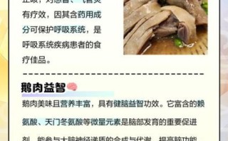鹅肉的功效与作用_鹅肉怎么吃最营养