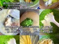 菠菜汁和面怎么取汁_菠菜汁和面取汁技巧